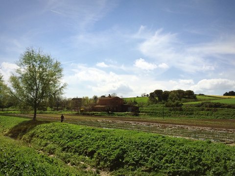 Entorn Images – Browse 60 Stock Photos, Vectors, and Video | Adobe Stock