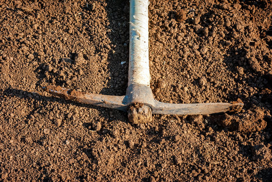 Piccone Images – Browse 174 Stock Photos, Vectors, and Video | Adobe Stock