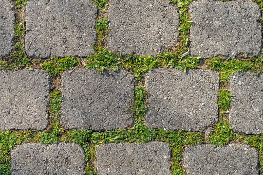 「Rasenstein」の写真素材 | 110件の無料イラスト画像 | Adobe Stock