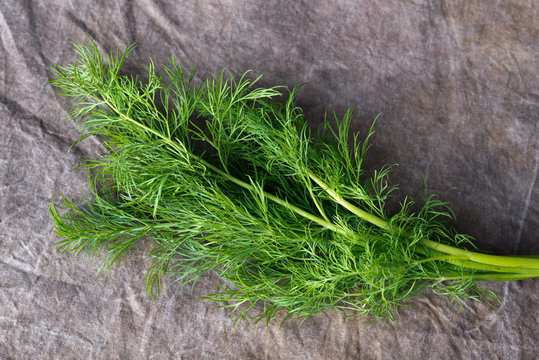 Koperek bilder – Bläddra bland 609 stockfoton, vektorer och videor ...