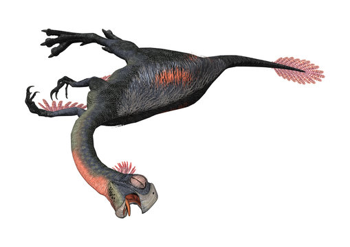 Oviraptorosaurs Images – Browse 102 Stock Photos, Vectors, and Video ...