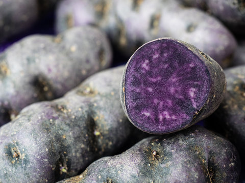 รูปภาพRunzelig – เลือกดูภาพถ่ายสต็อก เวกเตอร์ และวิดีโอ457 | Adobe Stock