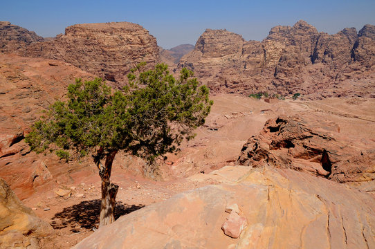 Djebel - Images et vidéos libres de droits | Adobe Stock