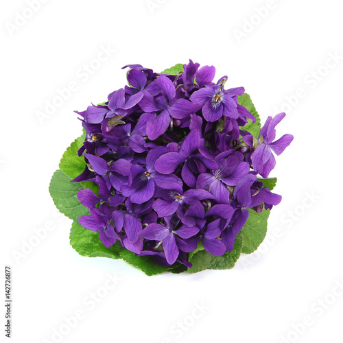 "Bouquet de violettes" photo libre de droits sur la banque d'images ...