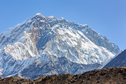 「Chumbu」の写真素材 | 225件の無料イラスト画像 | Adobe Stock