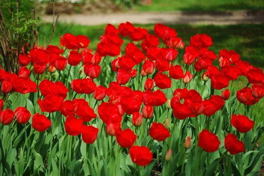 Nartur Images – Browse 43 Stock Photos, Vectors, and Video | Adobe Stock