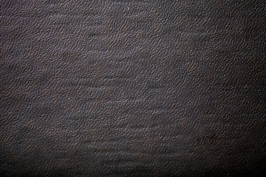 รูปภาพLeatherette – เลือกดูภาพถ่ายสต็อก เวกเตอร์ และวิดีโอ15,878 ...