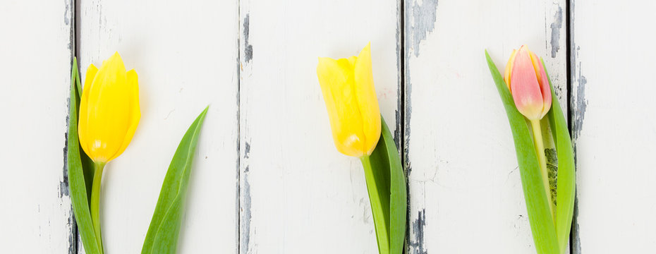 Sliten Images – Browse 52 Stock Photos, Vectors, and Video | Adobe Stock