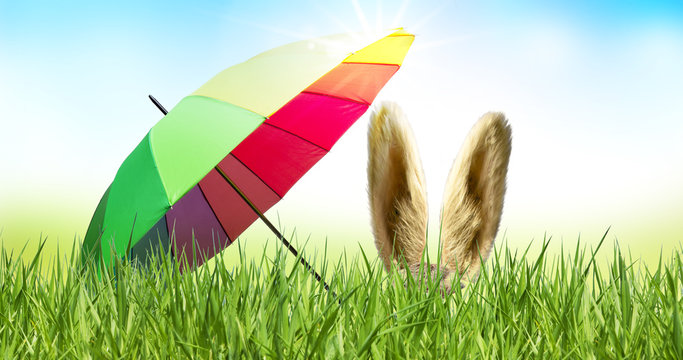 Imágenes de Schrim: descubre bancos de fotos, ilustraciones, vectores y ...