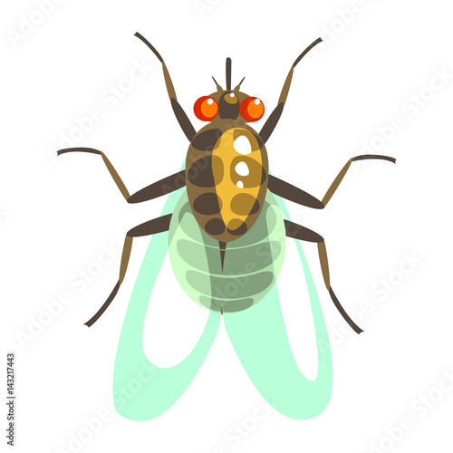 "Fly insect colorful cartoon character" Stock image and royalty-free ...
