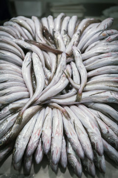 Pijotas Images – Browse 49 Stock Photos, Vectors, and Video | Adobe Stock