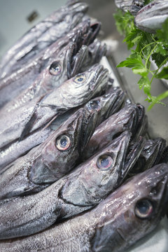 Pijotas Images – Browse 49 Stock Photos, Vectors, and Video | Adobe Stock