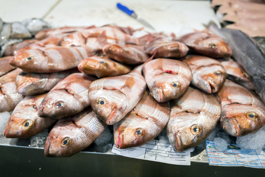 Pijotas Images – Browse 49 Stock Photos, Vectors, and Video | Adobe Stock