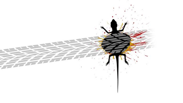 Roadkill Images – Browse 1,686 Stock Photos, Vectors, and Video | Adobe ...