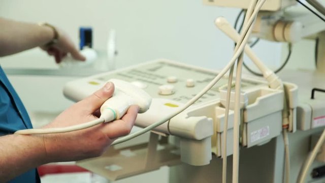 Ecography Images – Browse 1,160 Stock Photos, Vectors, and Video ...