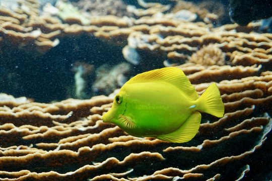 รูปภาพOsttimor – เลือกดูภาพถ่ายสต็อก เวกเตอร์ และวิดีโอ130 | Adobe Stock