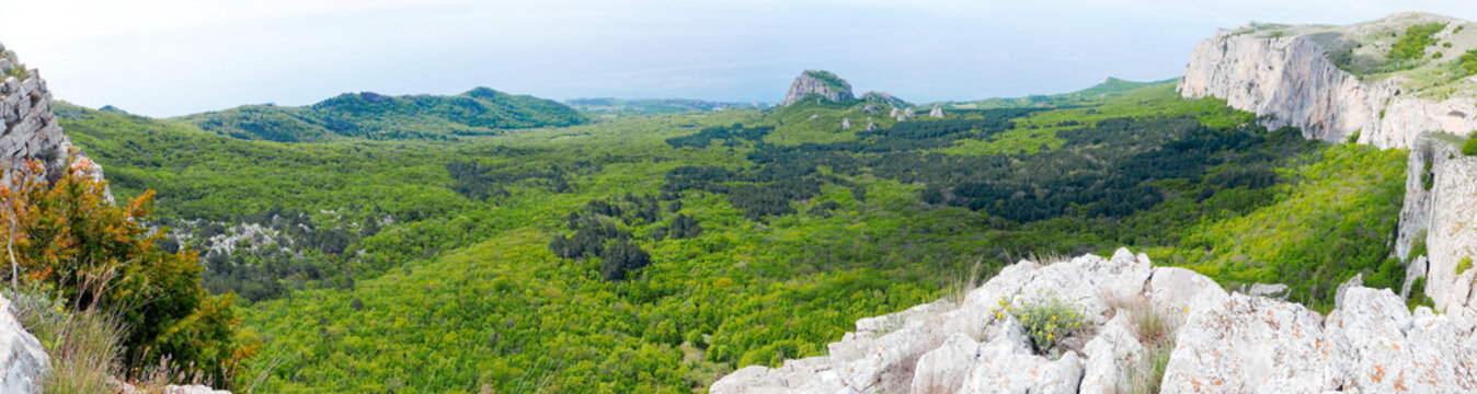 91 BEST Bink IMAGES, STOCK PHOTOS & VECTORS | Adobe Stock