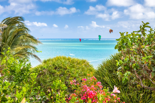 「Mourouk」の写真素材 | 172件の無料イラスト画像 | Adobe Stock