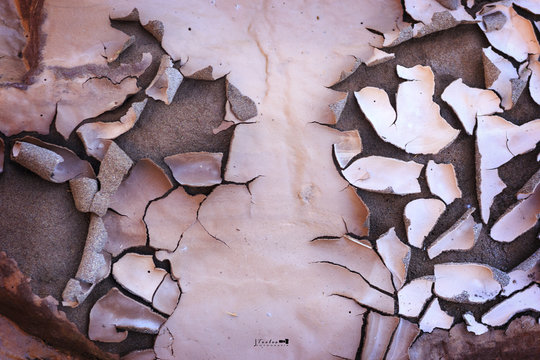 Imágenes de Cuarteado: descubre bancos de fotos, ilustraciones ...