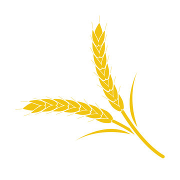 "Spike Images – Browse 428,810 Stock Photos, Vectors, and Video | Adobe ...