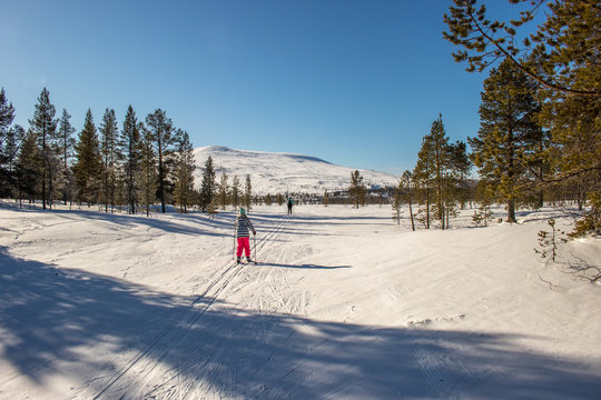 Hetta Bilder – Durchsuchen 1,434 Archivfotos, Vektorgrafiken und Videos ...