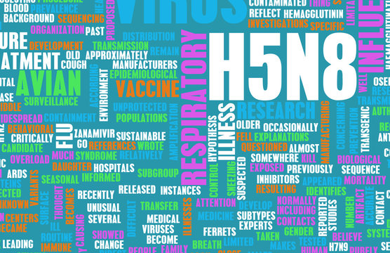 347 BEST H5N8 IMAGES, STOCK PHOTOS & VECTORS | Adobe Stock