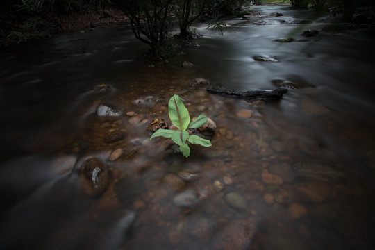 รูปภาพAmezing – เลือกดูภาพถ่ายสต็อก เวกเตอร์ และวิดีโอ423 | Adobe Stock