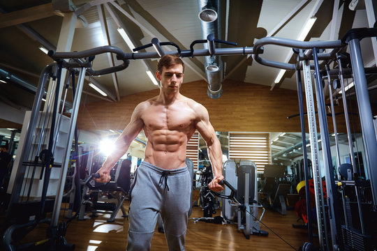 รูปภาพ"Pectoral – เลือกดูภาพถ่ายสต็อก เวกเตอร์ และวิดีโอ33,806 | Adobe ...