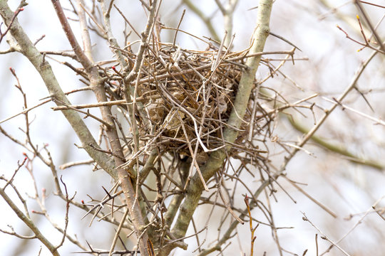 Rachel Lerch photos, images, assets | Adobe Stock