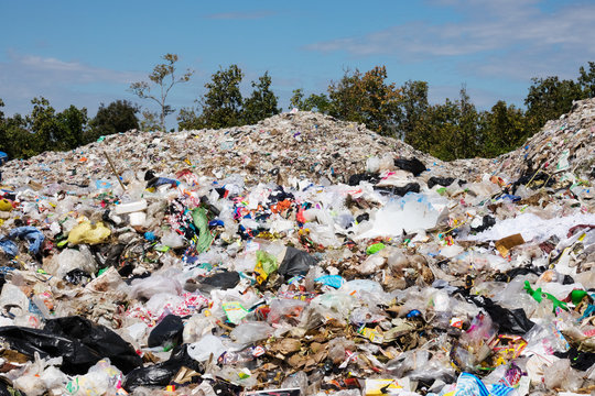 Mistplatz Images – Browse 93 Stock Photos, Vectors, and Video | Adobe Stock