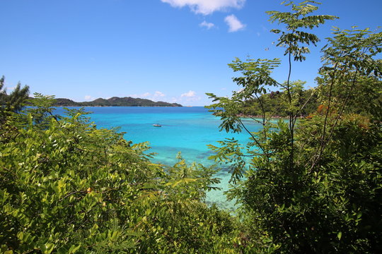 รูปภาพIsand – เลือกดูภาพถ่ายสต็อก เวกเตอร์ และวิดีโอ510 | Adobe Stock