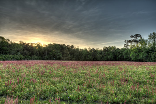 รูปภาพTreeline – เลือกดูภาพถ่ายสต็อก เวกเตอร์ และวิดีโอ29,773 | Adobe Stock