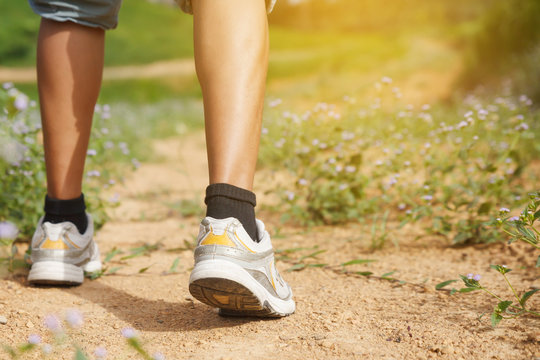 Huckle-Bone Images – Browse 58 Stock Photos, Vectors, and Video | Adobe ...