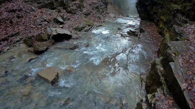 Maniava Bilder – Durchsuchen 136 Archivfotos, Vektorgrafiken und Videos ...