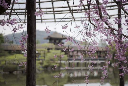 รูปภาพHeyan – เลือกดูภาพถ่ายสต็อก เวกเตอร์ และวิดีโอ88 | Adobe Stock