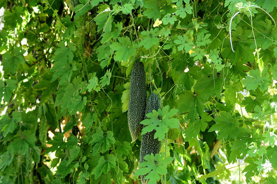 Margose Images – Parcourir 21,842 le catalogue de photos, vecteurs et ...