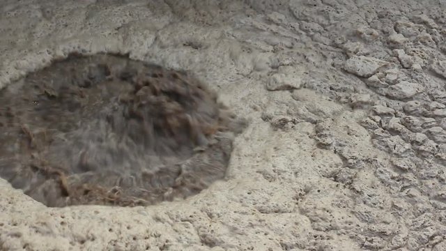 Imagens de Sludge – Explore Fotografias do Stock, Vetores e Vídeos de ...