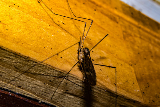 รูปภาพSancudo – เลือกดูภาพถ่ายสต็อก เวกเตอร์ และวิดีโอ10 | Adobe Stock