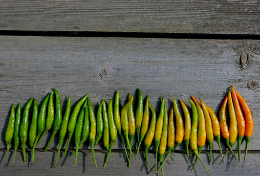 Vehemently Images – Browse 259 Stock Photos, Vectors, and Video | Adobe ...