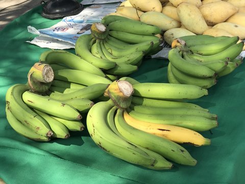"Hand Of Bananas"-Bilder: Stock-Fotos & -Videos. | Adobe Stock