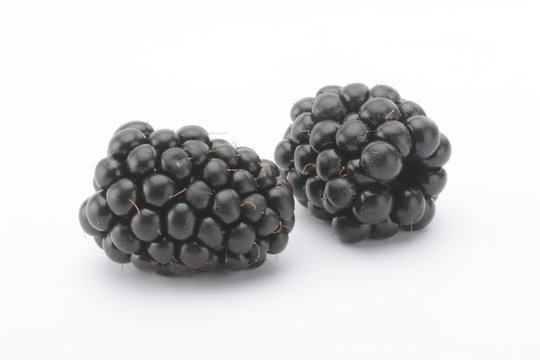 รูปภาพMora – เลือกดูภาพถ่ายสต็อก เวกเตอร์ และวิดีโอ14,260 | Adobe Stock