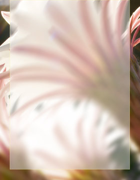 8.5X11 Bilder – Durchsuchen 365 Archivfotos, Vektorgrafiken und Videos ...