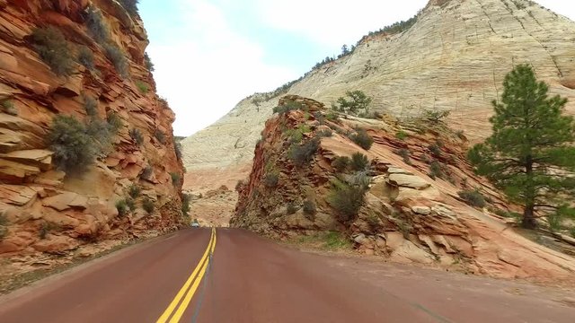 Zion Images – Browse 597,791 Stock Photos, Vectors, and Video | Adobe Stock