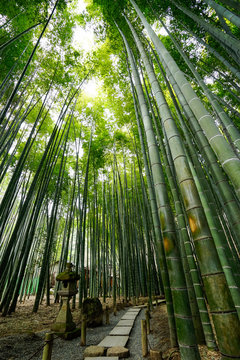 Kantou Images – Browse 54 Stock Photos, Vectors, and Video | Adobe Stock