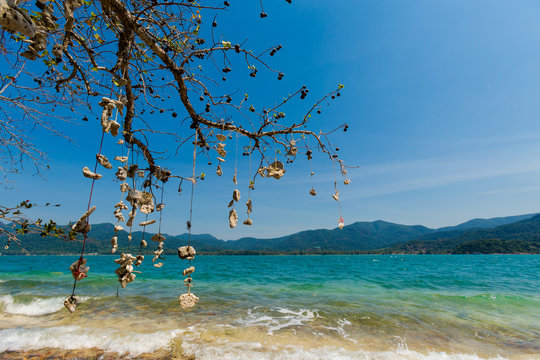 Suwan Bilder – Durchsuchen 559 Archivfotos, Vektorgrafiken und Videos ...