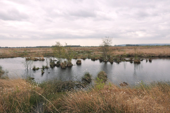 รูปภาพTorfabbau – เลือกดูภาพถ่ายสต็อก เวกเตอร์ และวิดีโอ1,279 | Adobe Stock