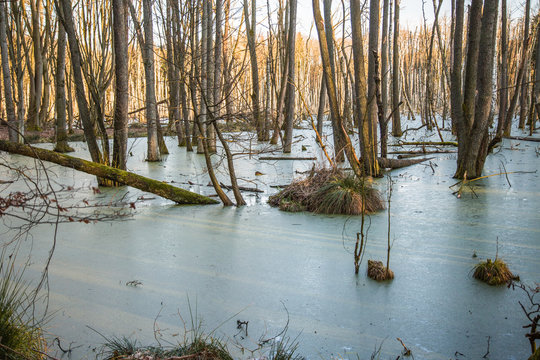 Schorf Bilder – Durchsuchen 303 Archivfotos, Vektorgrafiken und Videos ...