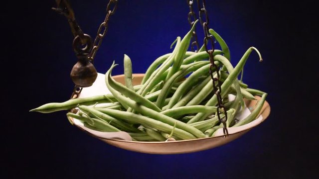 Tegoline Images – Browse 173 Stock Photos, Vectors, and Video | Adobe Stock