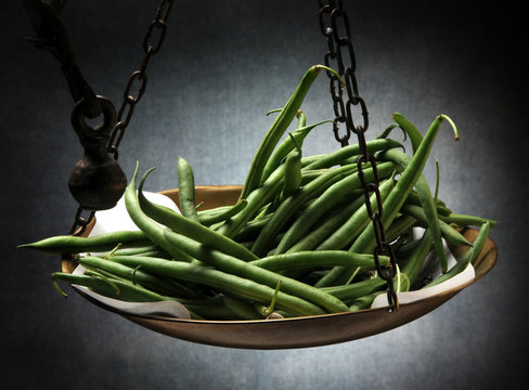 Tegoline Images – Browse 173 Stock Photos, Vectors, and Video | Adobe Stock