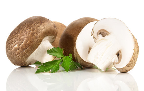 Steinchampignons Bilder – Durchsuchen 3,188 Archivfotos, Vektorgrafiken ...